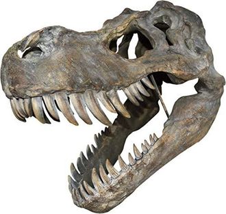 Nemesis Now Wandschild Tyrannosaurus Rex Totenkopf, gro&szlig;, 51,5 cm, Braun