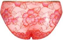 La Nouvelle Culotte Georgia avec broderie