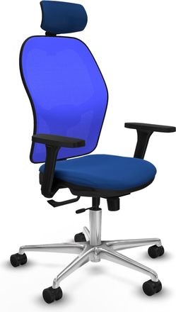 Piqueras y Crespo Ergonomischer Stuhl f&uuml;r Telearbeit mit 3D-Armen, h&ouml;henverstellbare Lendenwirbelst&uuml;tze und h&ouml;henverstellbares Kopfteil, Blau/Blau