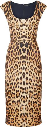 Roberto Cavalli Jaguar-print Sleeveless Dress