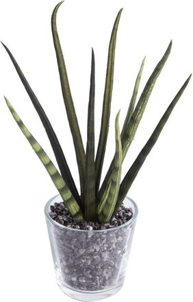 Botanic-Haus Kunstpflanze Sanseveria/künstlicher Bogenhanf im Glas