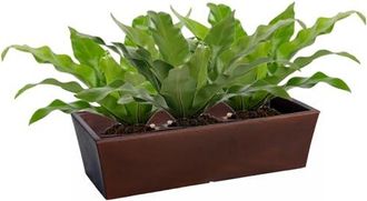 KLORIS Moderne niedrige Pflanzgefäße rechteckig Modell Deco Kasten Balkon und Garten 69 x 29 cm Höhe 19 cm Made in Italy leicht und robust Farbe Corten Bronz