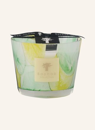 Baobab Baobab Collection Duftkerze Santo Sospir gelb