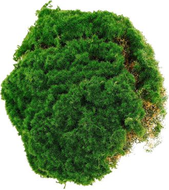 OSALADI Kunstmoos Bastelmoos 20x20cm K&uuml;nstliches Moospad Gr&uuml;nfarbig Realistisches Moos F&uuml;r Krippen Miniaturg&auml;rten Wanddekoration Terrarien