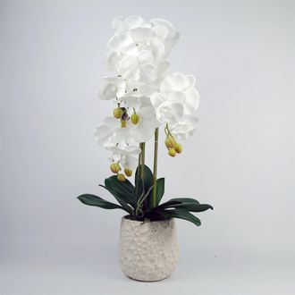 Leaf Design UK Realistische k&uuml;nstliche Orchidee im Topf