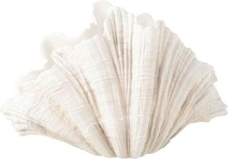 Paris Prix Vase Coquillage en R&eacute;sine Puglia 57cm Blanc