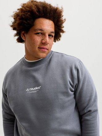 Jack & Jones Plus Size Sweatshirt JJESOHO SWEAT CREW NECK NOOS PLS Baumwollmischung, regular fit