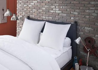 Dodo | Kopfkissen gegen Milben und Bettwanzen, 60 x 60 cm, mittlerer Komfort, Kissen Multi Protect, Weichheit und Schutz, maschinenwaschbar bei 40 &deg;C