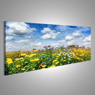 Islandburner Bild auf Leinwand Landschaft Mit Bunten Sommerblumen Wandbild Poster Kunstdruck Bilder