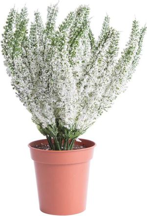 Botanic-Haus k&uuml;nstliche Erika (Heidekraut) in braunem Kunstofftopf (Creme-wei&szlig;)