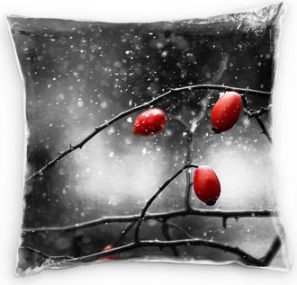 Paul Sinus Art k&uuml;nstlerische Fotografie, Hagebutten, rot, grau Deko Kissen 40x40cm f&uuml;r Couch Sofa Lounge Zierkissen - Dekoration zum Wohlf&uuml;hlen