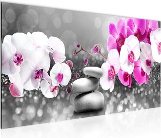 Runa Art Wandbild Blumen Orchidee 1 Teilig 100 x 40 cm Modern Bild auf Vlies Leinwand Feng Shui Wohnzimmer Grau Rosa 035512a