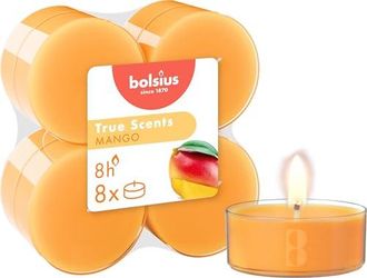 Bolsius Bolsius True Scents - 8 Teelichter Maxi Duft - Mango - Lange Brenndauer von 8 Stunden - Kerze für den Innenbereich - Natürliche Extrakte - Veganes Wac