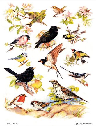 Samuel Lamont & Sons Geschirrtuch, Einheitsgr&ouml;&szlig;e, Wei&szlig;