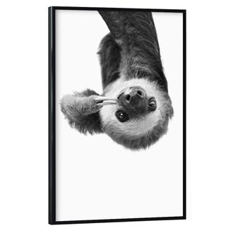 artboxONE Poster mit schwarzem Rahmen 45x30 cm Tiere Little Sloth - Bild Black and White Black and White Cute