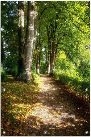 Wallario Outdoor-Poster f&uuml;r Garten oder Balkon Weg im Sonnenlicht, Motivbanner Gr&ouml;&szlig;e: ca. 80 x 120 cm, Outdoor-Bild