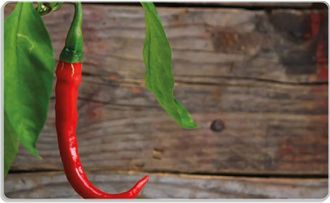 Wallario Fr&uuml;hst&uuml;cksbrettchen aus Glas, Glasunterlage, Glasbrettchen H&auml;ngende Chili-Schote, Gr&ouml;&szlig;e 14 x 23 cm, Sicherheitsglas