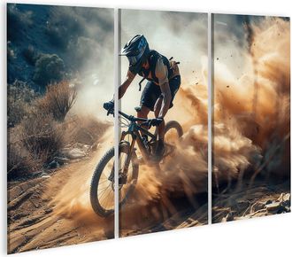 Islandburner Bild auf Leinwand Profi Radfahrer navigiert auf Enduro Mountainbike &uuml;ber staubigen Pfad und wirbelt Staub auf Bilder Wandbilder Poster