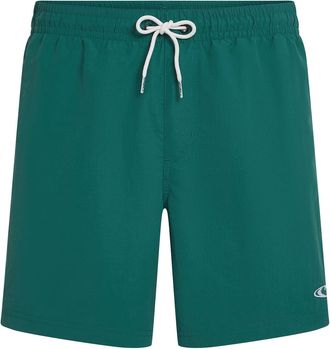 O'Neill Badeshorts Vert