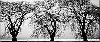 Homemania HM20KNV70x100-56 Bild Baum Landschaft Wohnzimmer Schlafzimmer Mehrfarbig Polyester Holz 70 x 3 x 100 cm