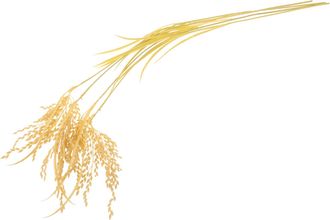 Luxshiny K&uuml;nstliche Weizengras Kunstblumen 4 St&uuml;ck Kunststoff f&uuml;r Hochzeitsdekorationen und Valentinstag L&auml;ndliche Wohnzimmerschmuck Elemente