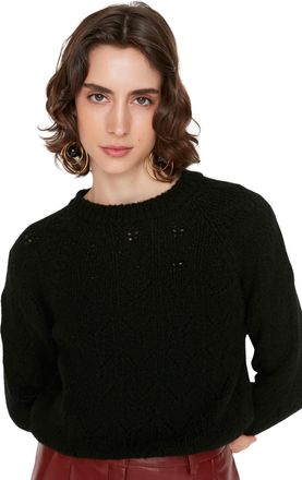 Trendyol Trendyol Damen Ajour&eacute; Regular Sweater mit Rundhalsausschnitt Sweatshirt, Schwarz, Small