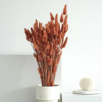 Lykke & You Lagurus | Samtgras Terracotta 1 Bund (ca 100 Stiele)