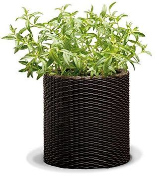 Keter Curver Garten Pflanzentopf