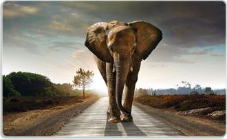 Wallario Frühstücksbrettchen aus Glas, Glasunterlage, Glasbrettchen Elefant bei Sonnenaufgang in Afrika, Größe 14 x 23 cm, Sicherheitsglas