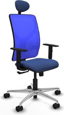 Piqueras y Crespo Lendenwirbelst&uuml;tzstuhl mit 1D-Armlehnen und festem Kopfteil, ausgestattet mit 3 Positionen und Schneideschaum, mit Rollen von 65 mm, Nylon, Blau/Marin