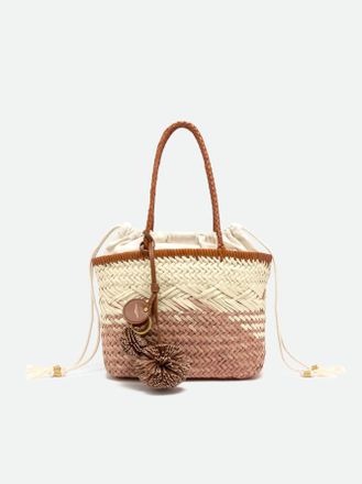 Gianni Chiarini PALOMA