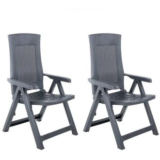vidaXL Vidaxl - Chaises inclinables de jardin lot de 2 Plastique Anthracite
