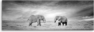 Paul Sinus Art Sinus Art Wandbild 150x50cm Naturfotografie - Zwei Elefanten in der Wildnis, Kenia, Afrika auf Leinwand für Wohnzimmer, Büro, Schlafzimmer, Ferienwohn