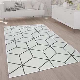 Paco Home Tapis De Salon Poils Ras Style Scandinave Moderne Motif Diamant Gris Blanc, Dimension:60x100 cm, Couleur:Blanc