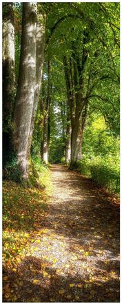 Wallario Glasbild Weg im Sonnenlicht - 50 x 125 cm Wandbilder Glas in Premium-Qualit&auml;t: Brillante Farben, freischwebende Optik