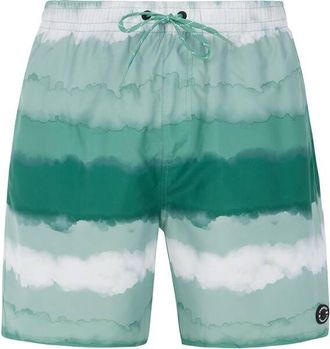 Protest Herren Badeshorts PRTHAMSEY