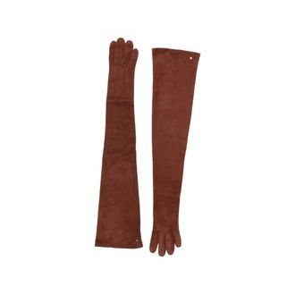 Max Mara Gants longs en daim Masestremo - Femme - Accessoires - Brun - Taille: 7 IN
