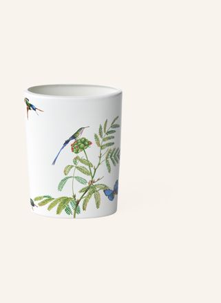 Villeroy & Boch Vase Amazonia weiss