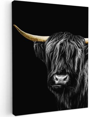 MuchoWow Leinwand Bilder, Einzigartige Wanddeko mit Rahmen, Schottischer Highlander - Horn - Gold, Wandbilder Wohnzimmer, Deko Schlafzimmer 50x70 cm