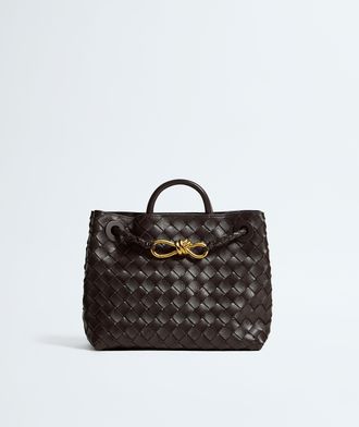 Bottega Veneta Andiamo Petit Format - Bottega Veneta