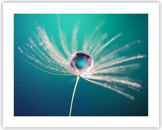 Arttor Poster ohne Rahmen Deko 50x40cm Pflanze Natur Wandposter Art Prints Wanddeko Bild Wand Kunstdruck Wandbilder Dekoration Wohnzimmer Schlafzimmer K&uuml;che 