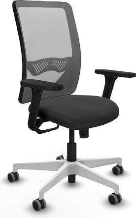 Piqueras y Crespo Zulema Sessel f&uuml;r die Arbeit zu Hause mit 3D-Armen, h&ouml;henverstellbare Lendenwirbelst&uuml;tze, ausgestattet mit 3 Positionen und Schneideschaum, Grau/Dunke