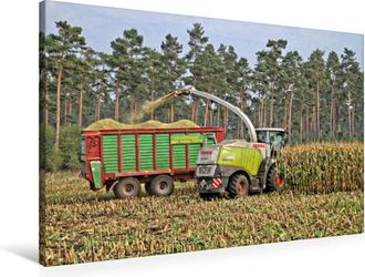 Calvendo Premium Textil-Leinwand 90 x 60 cm Quer-Format MAIS ERNTE | Wandbild, HD-Bild auf Keilrahmen, Fertigbild auf hochwertigem Vlies, Leinwanddruck von Sch