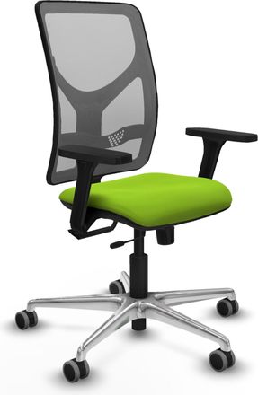 Piqueras y Crespo Armlehnenstuhl, h&ouml;henverstellbare Lendenwirbelst&uuml;tze, ausgestattet mit Syncro/Traslack und Schneideschaum, mit Rollen 65 mm, Parkett, Grau/Pistazie