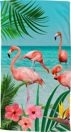Good Morning Strandtuch Flamingo Polyvelours bunt Gr&ouml;&szlig;e 100x180 cm