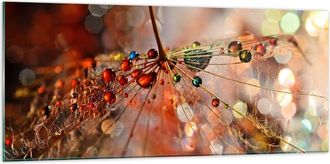 Arttor Wandbilder Dekoration Wohnzimmer Spinnennetz modern Panorama Bilder auf Glas 120x50cm Glasbild Schlafzimmer K&uuml;che Wand Kunstdruck Art Gro&szlig; Wanddeko Bi