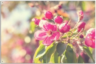 Wallario Outdoor-Poster f&uuml;r Garten oder Balkon Fr&uuml;hlingszauber, Motivbanner Gr&ouml;&szlig;e: ca. 60 x 90 cm, Outdoor-Bild