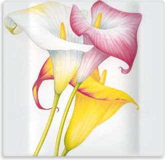 Edzard CALLE Teller flach 22x22 cm