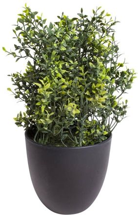 Botanic-Haus künstlicher Thymian (künstliche Kräuter Dekoration) im schwarzen Kunststofftopf