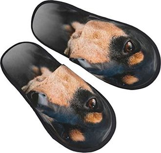 Generic Chaussures De Maison Chien Pinscher Nain Chauds Fuzzy Pantoufles Duveteux Pantoufles Camping Pantoufle Pour Chambre &Agrave; Coucher F&ecirc;te L